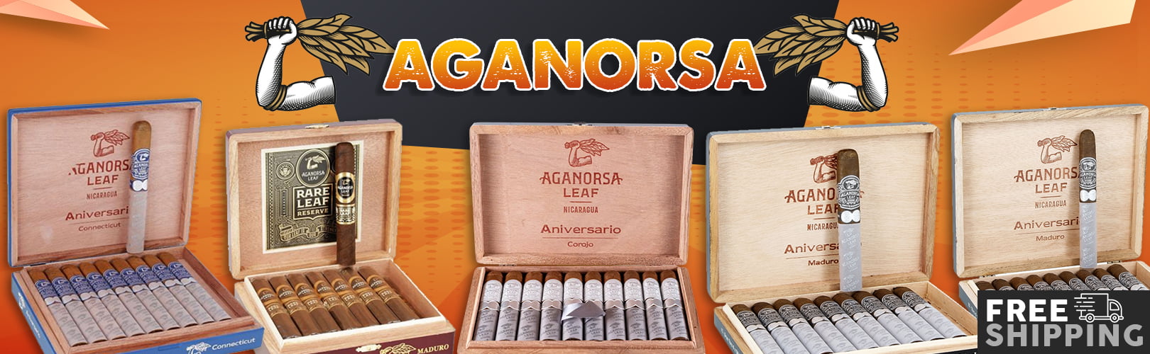 Best Cigar Lounge | Premium Cigars Humidors | Best Cigar Subscription